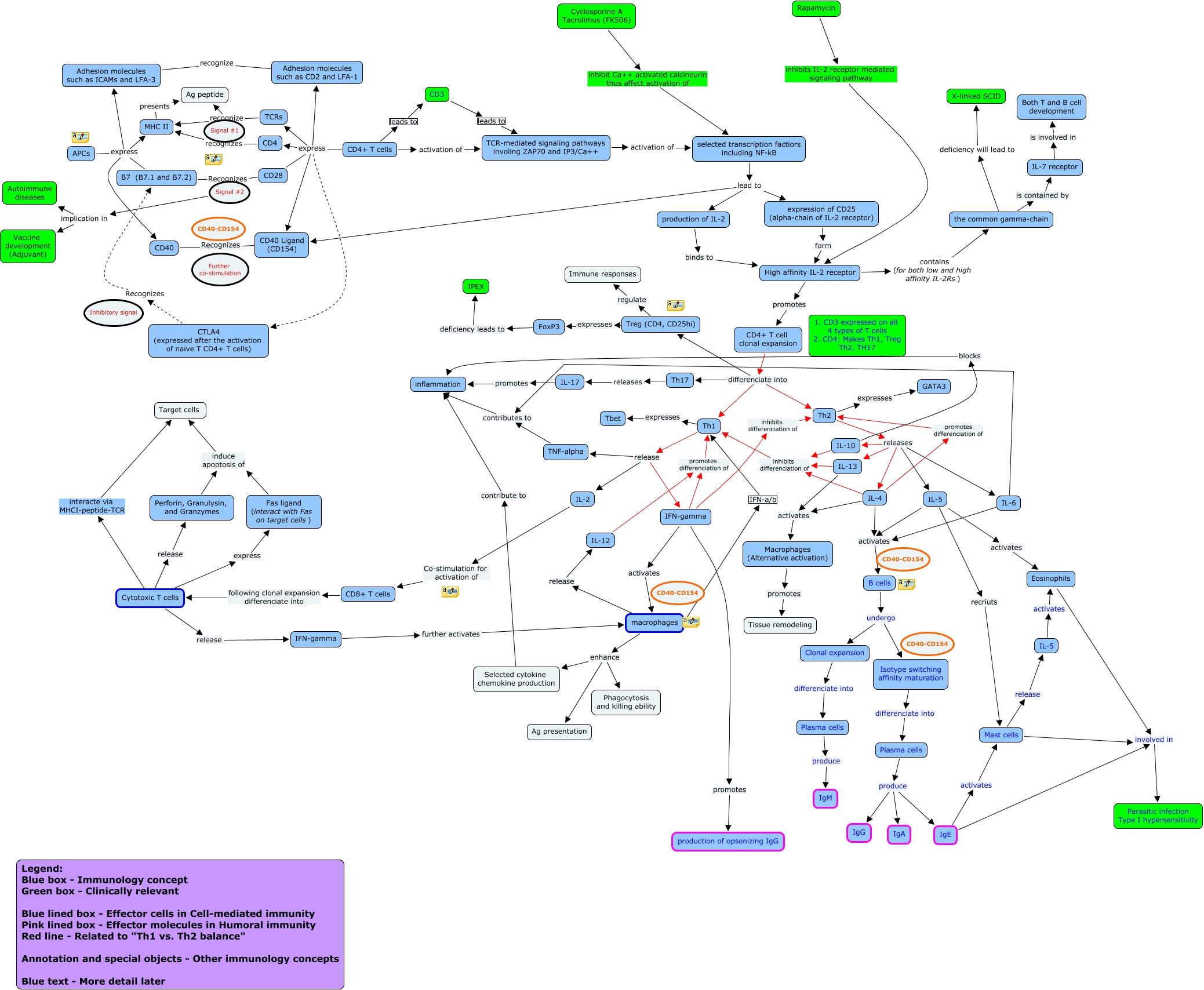 T cell responses (6).cmap